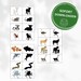 Shadow Matching Game Montessori, Animal Montessori Matching Cards ...