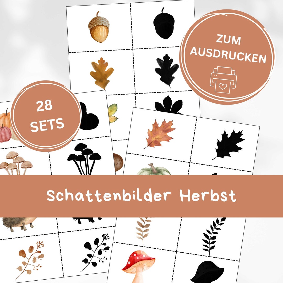 Autumn Shadow Matching Game Montessori, Montessori Matching Cards ...