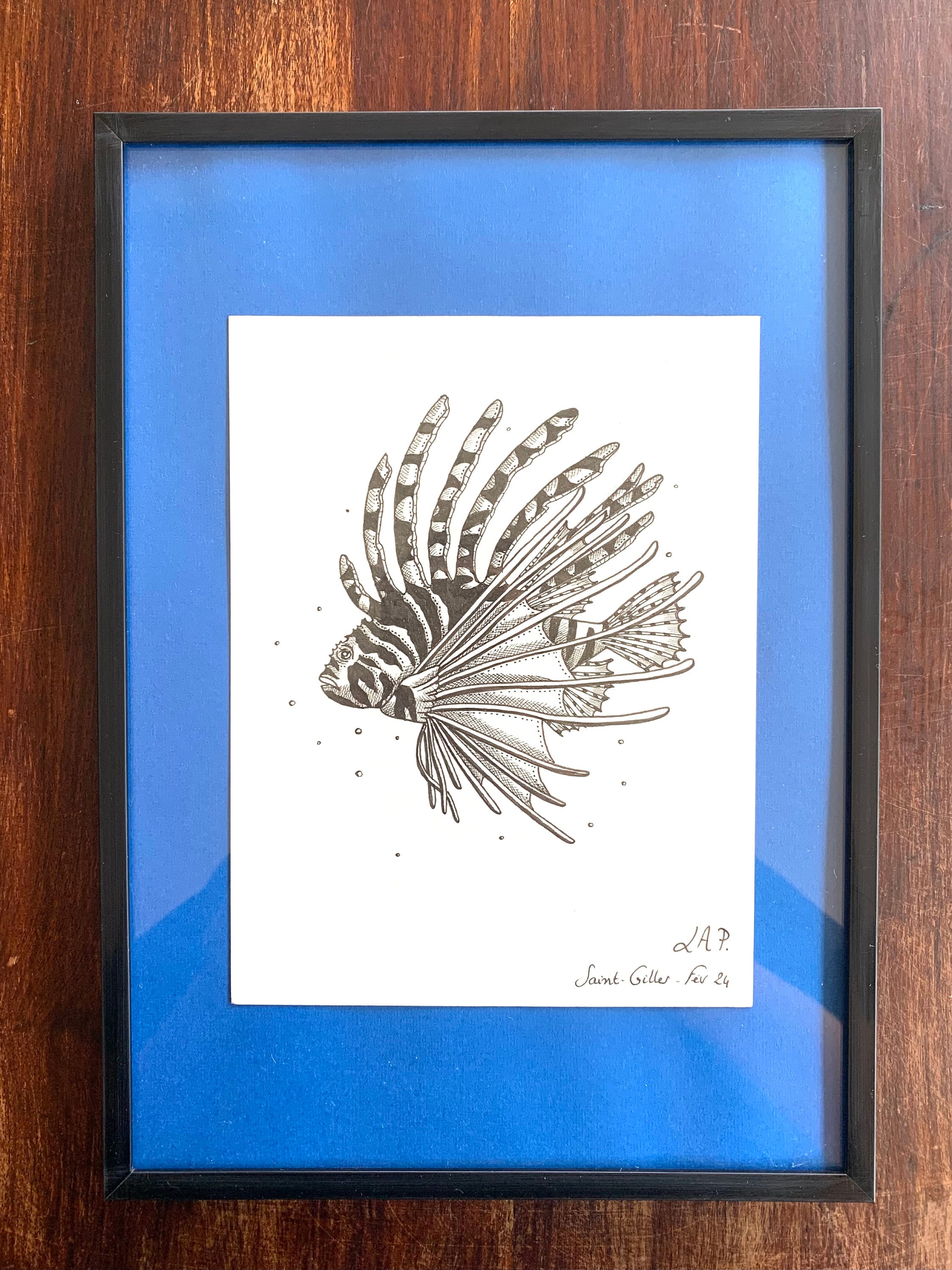 Original Drawing Lionfish or Rockfish - Etsy
