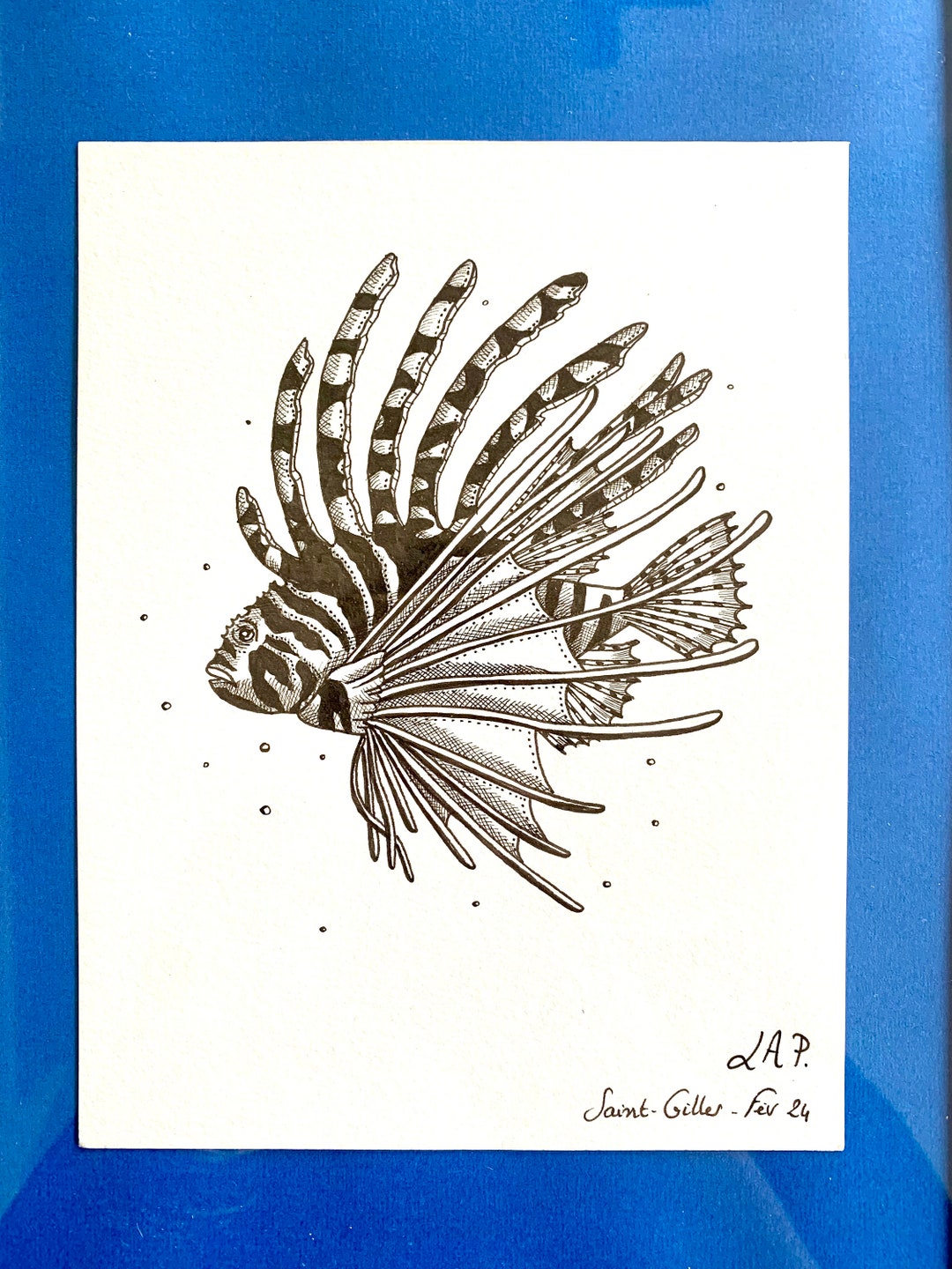 Original Drawing Lionfish or Rockfish - Etsy