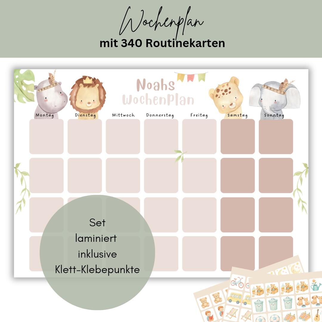 Personalized Weekly Schedule for Children With 340 Routine Cards ...