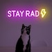 Stay Rad Neon Sign, Lightning Bolt Decor, Punk Rock, Stylish Home Decor ...