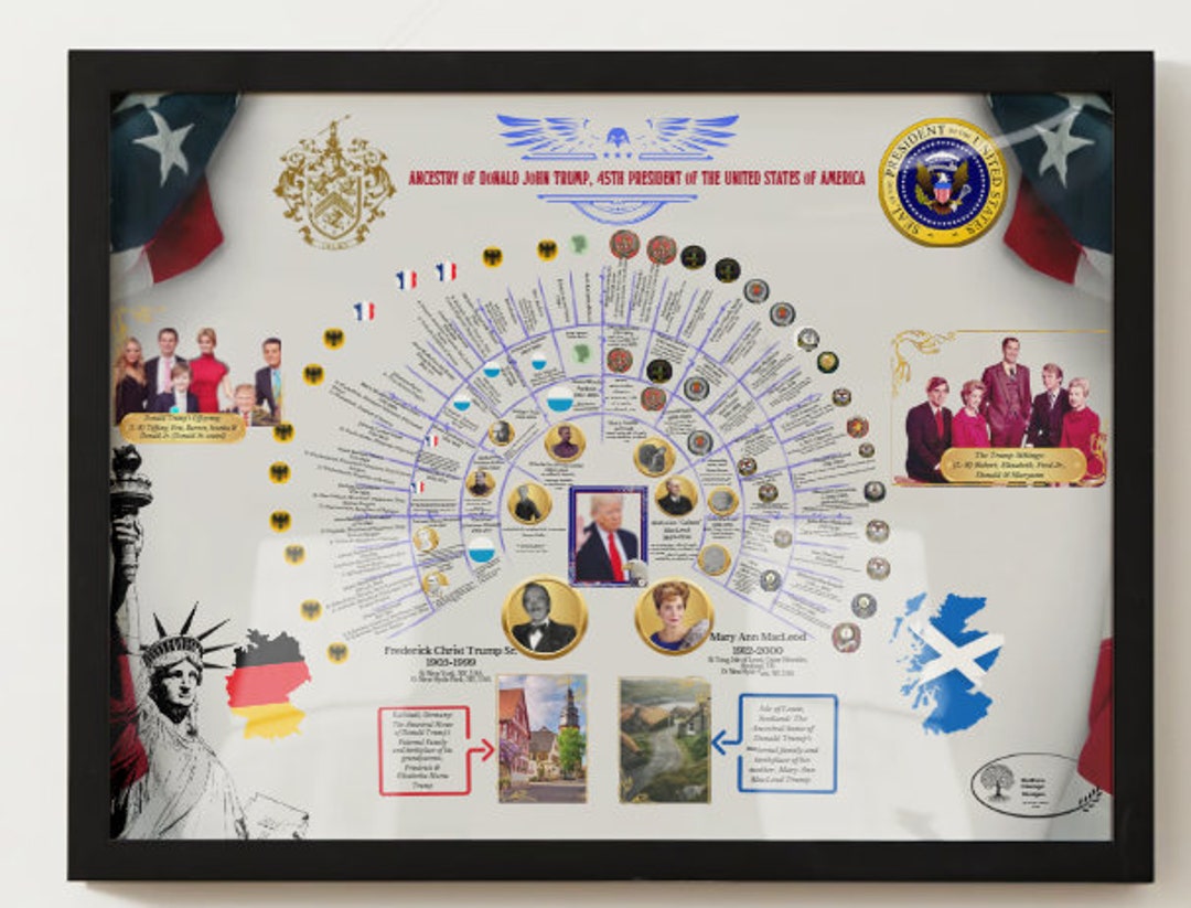 Donald Trump's Family Tree 6-generation Pedigree Chart Print 28x18 ...