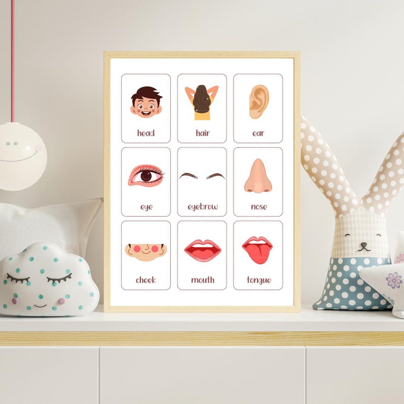Body Parts Flashcards, Printable Learning Cards, Human Body Vocabulary ...