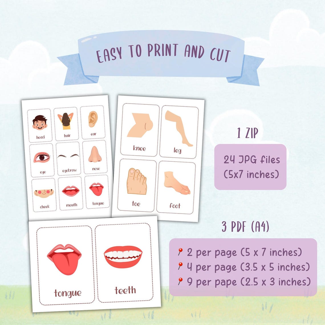 Body Parts Printable, Printable Body Parts Flash Cards, Body Parts ...