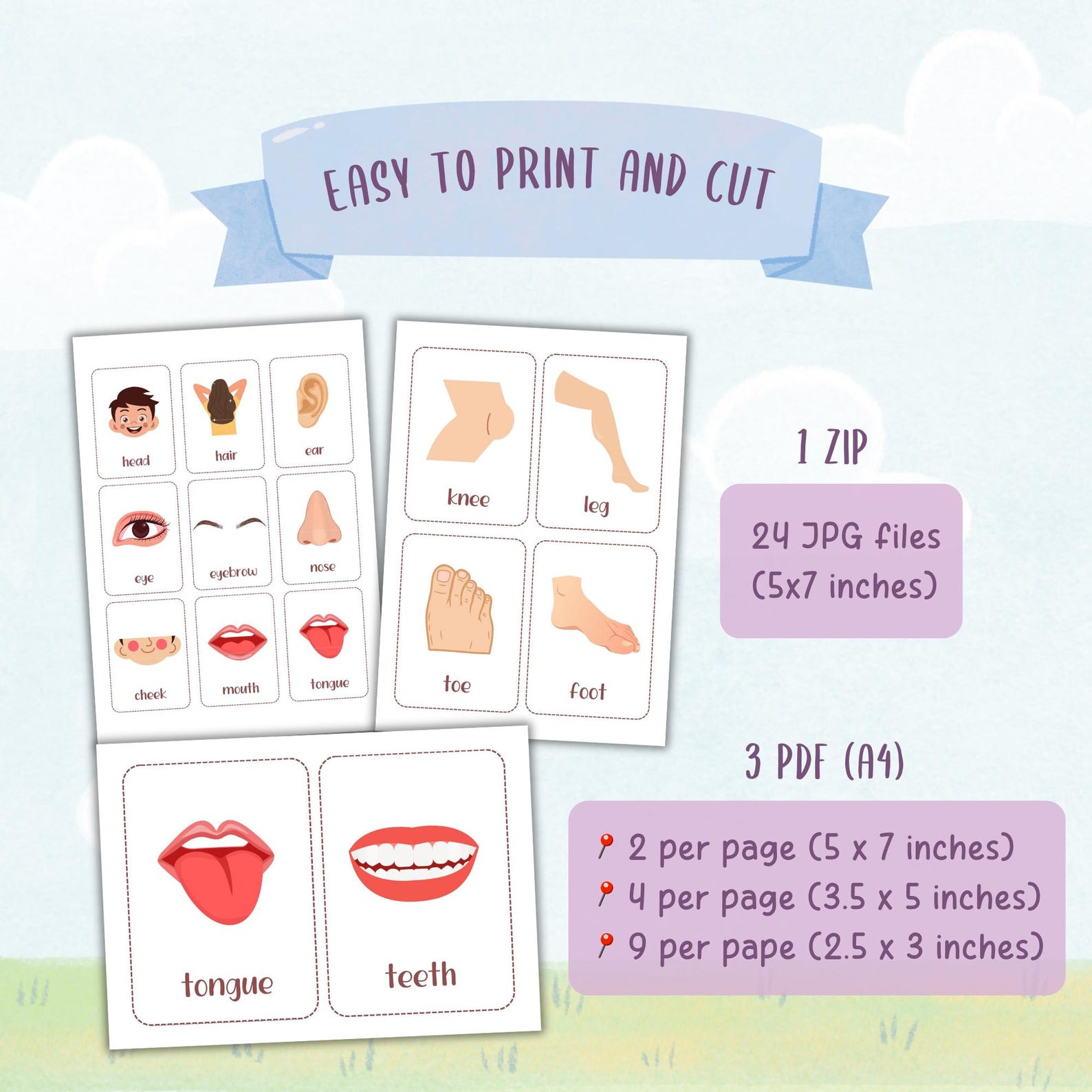 Body Parts Printable, Printable Body Parts Flash Cards, Body Parts ...