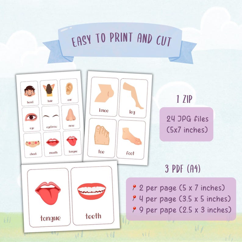 Body Parts Printable, Printable Body Parts Flash Cards, Body Parts ...