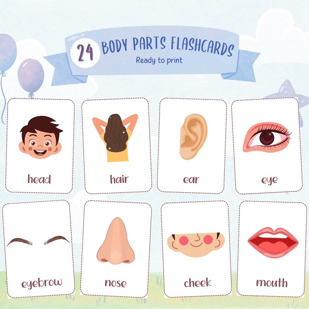 Body Parts Printable, Printable Body Parts Flash Cards, Body Parts ...