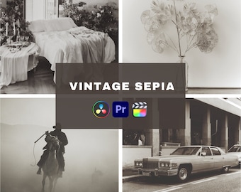 10 Vintage Sepia Video Luts, One-click Color Grading (.cube Files) - Etsy