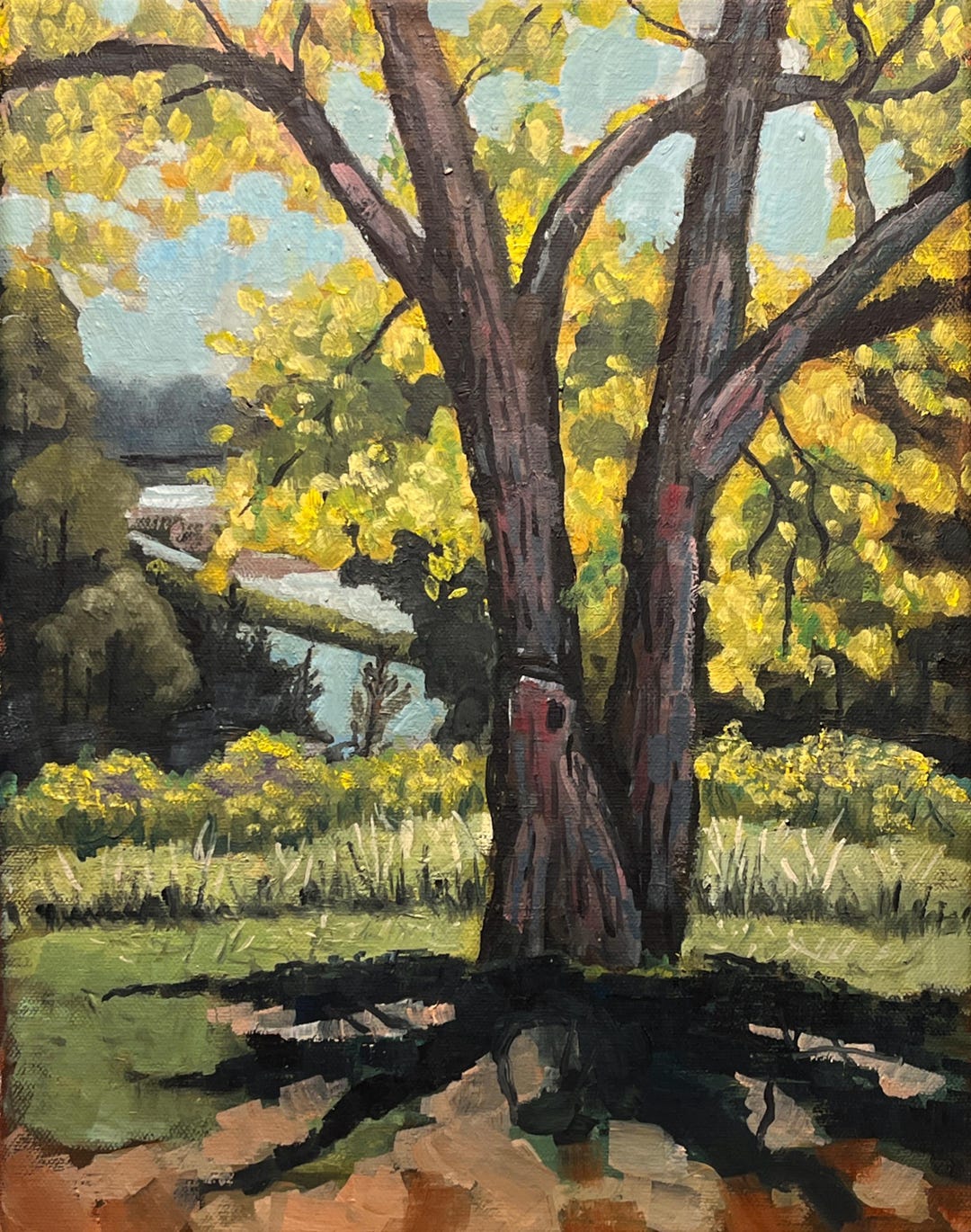 Landscape Plein Air Oil Painting of Yellow Poplar Tree at Agecroft ...