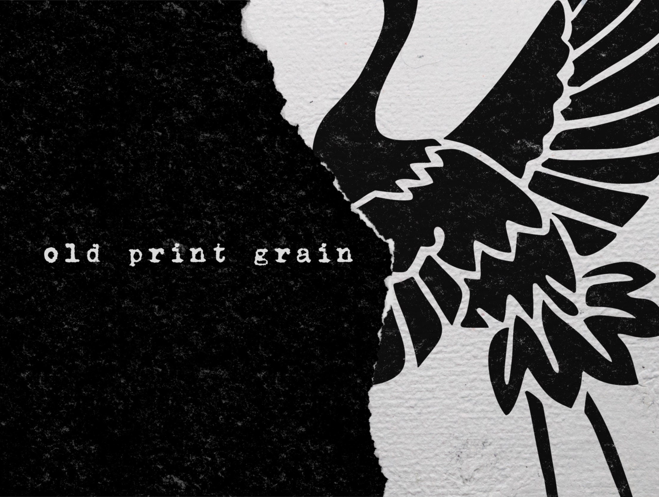 Japanese Crane Procreate Stamps. Procreate Bird Stamps. Traditional ...