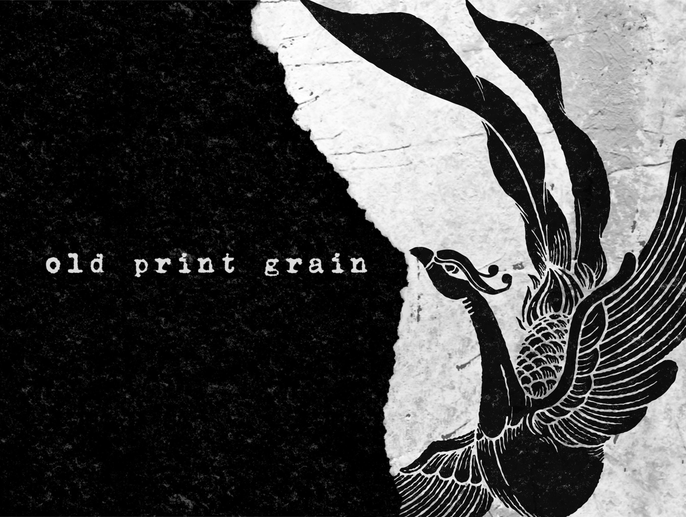 Chinese Phoenix Stamps for Procreate. Phoenix Tattoo. Phoenix Digital ...