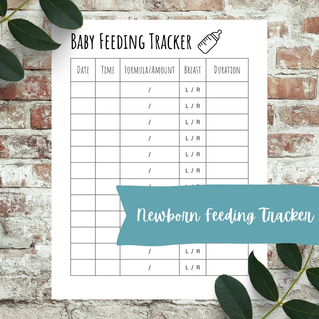 Printable Daily Baby Tracking Page, DIY Baby Tracking Log Book, Feeding ...