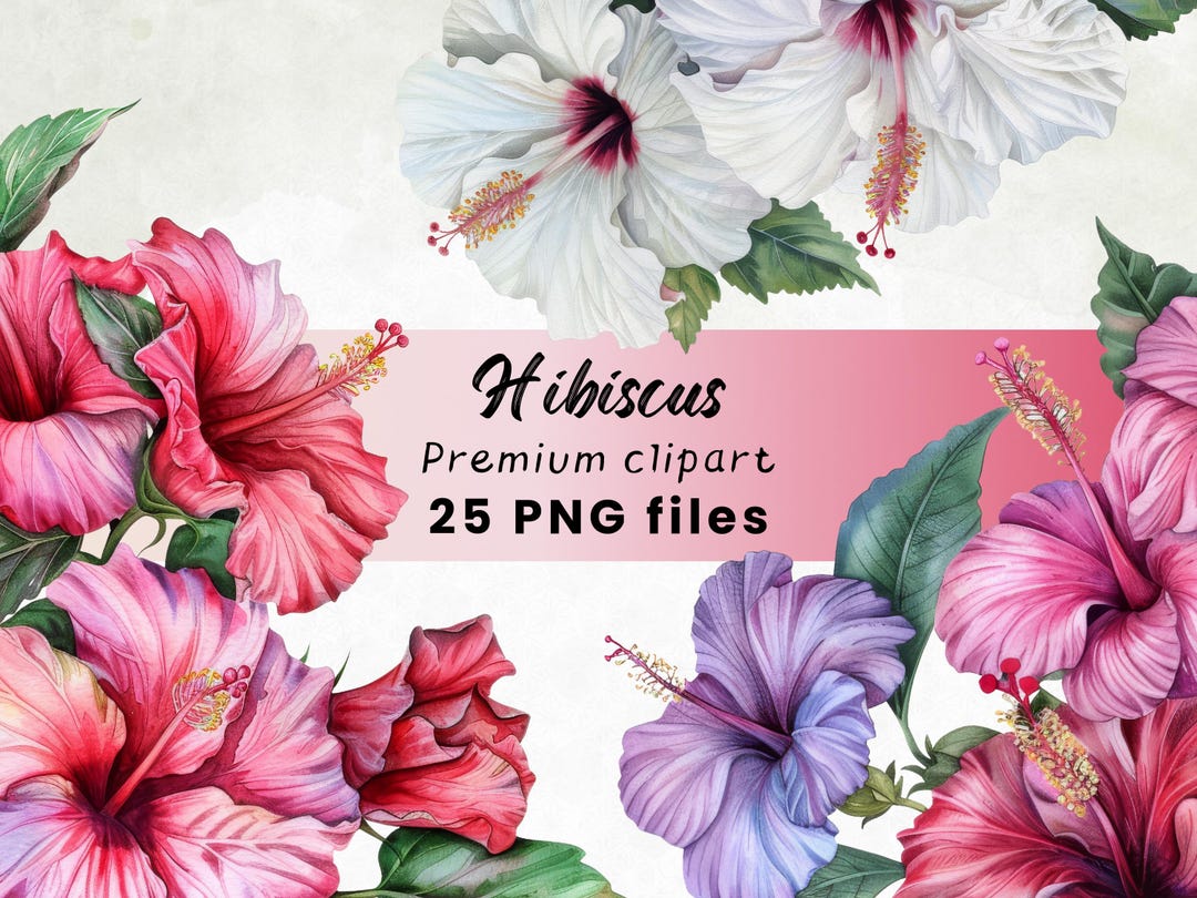 Watercolor Hibiscus Flower Clipart: Tropical PNG Prints (instant ...