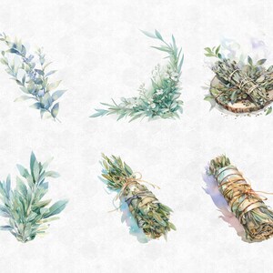 Watercolor White Sage Clipart, Mystical Greenery PNG, Witchy Herbs ...
