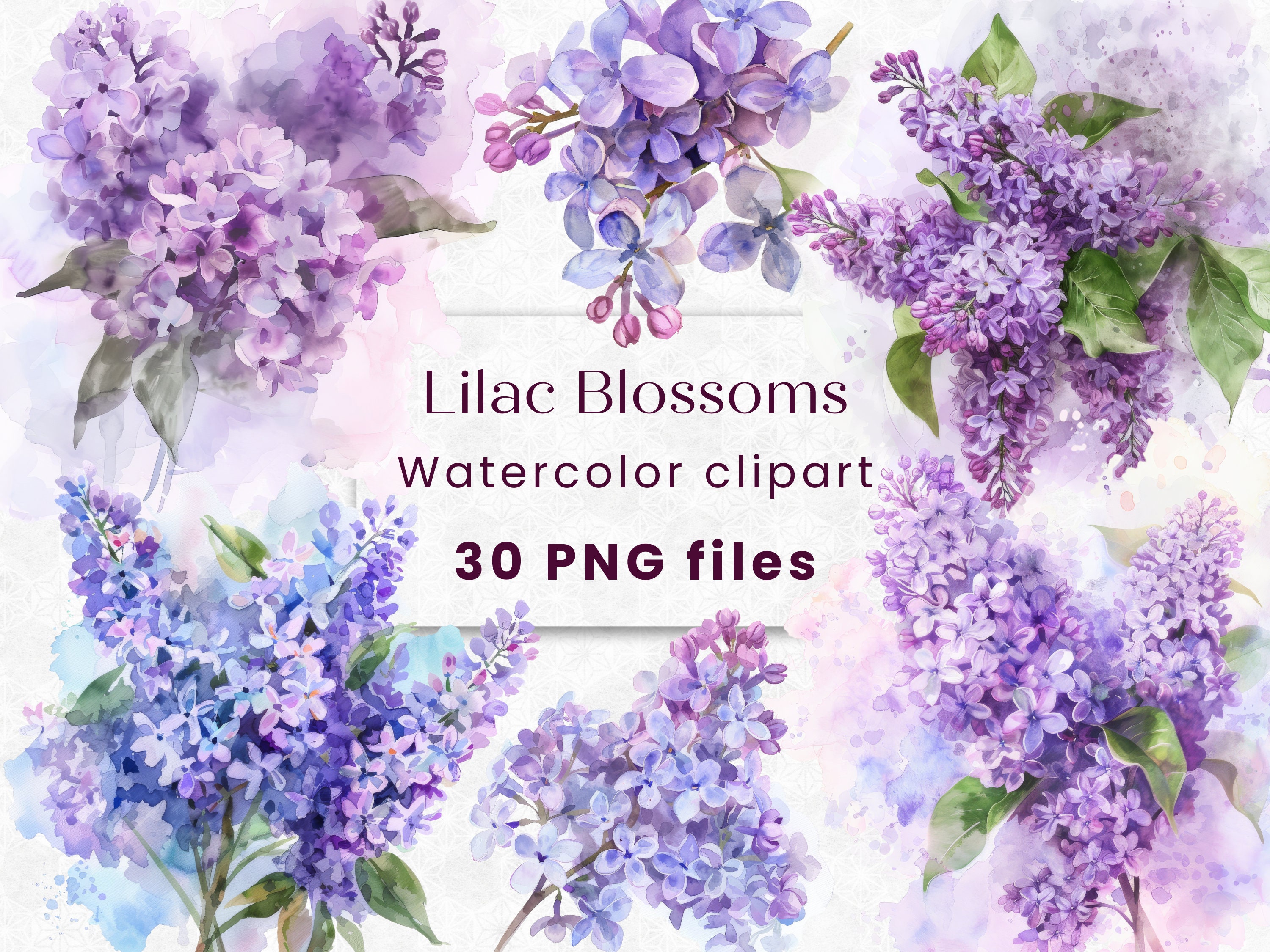 Watercolor Lilac Clipart, Floral Clipart, Spring Flowers, Purple Lilac ...