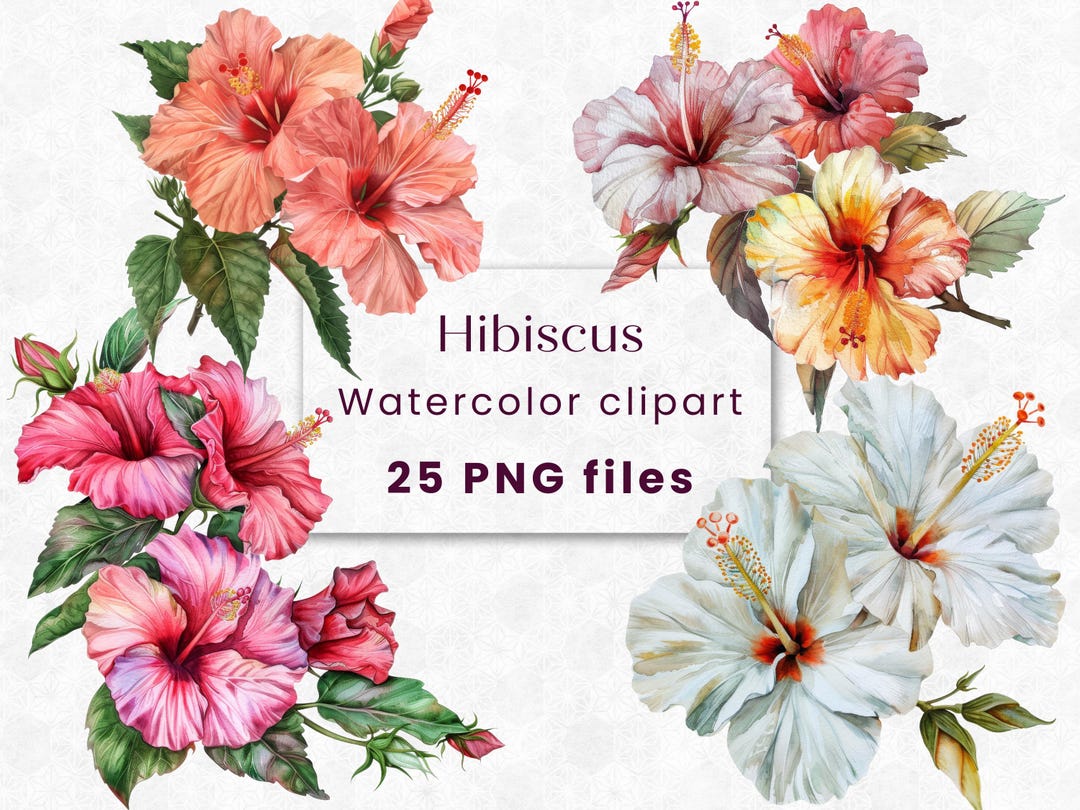 Watercolor Hibiscus Flower Clipart, Tropical Floral, Hawaii PNG ...