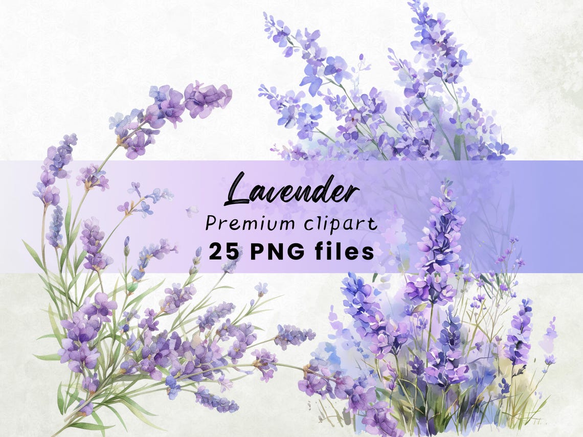 Lavender Clipart, Purple Floral, Herbs Clipart, Wiccan Clipart, Witch ...