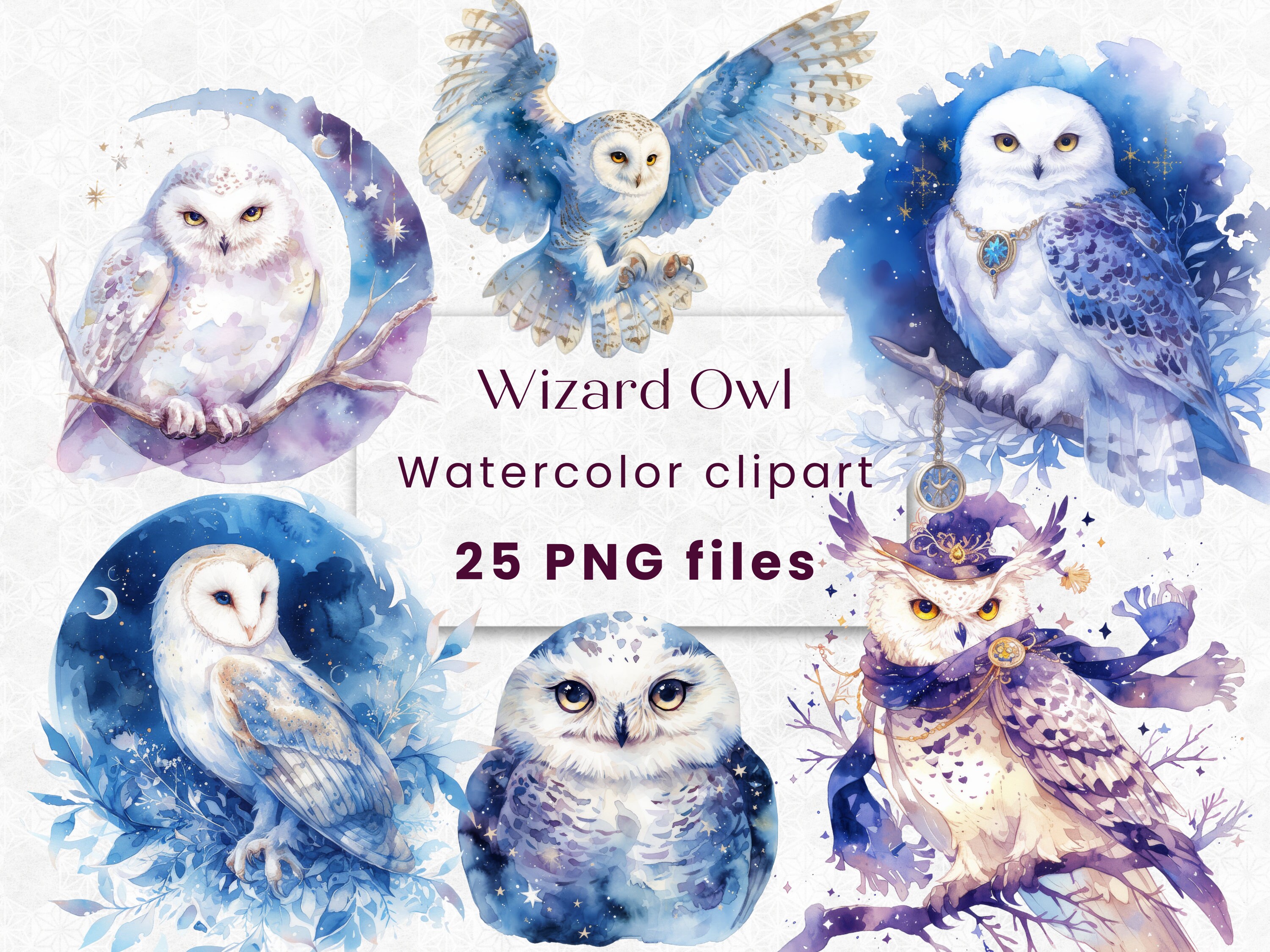 Watercolor Wizard Owl Clipart, Celestial Witchy, Magic White Owl ...