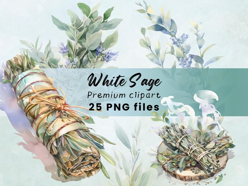 Watercolor White Sage Clipart, Mystical Greenery PNG, Witchy Herbs ...