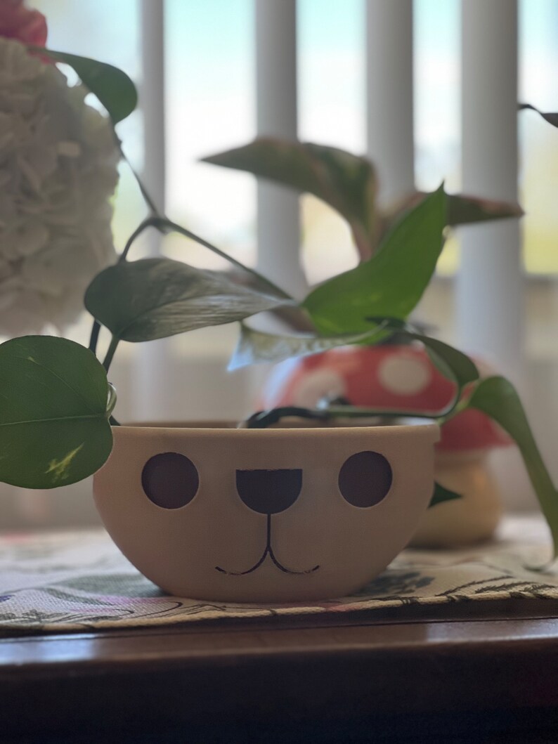 Bluey Inspired Indoor Plant Pot wide - Etsy