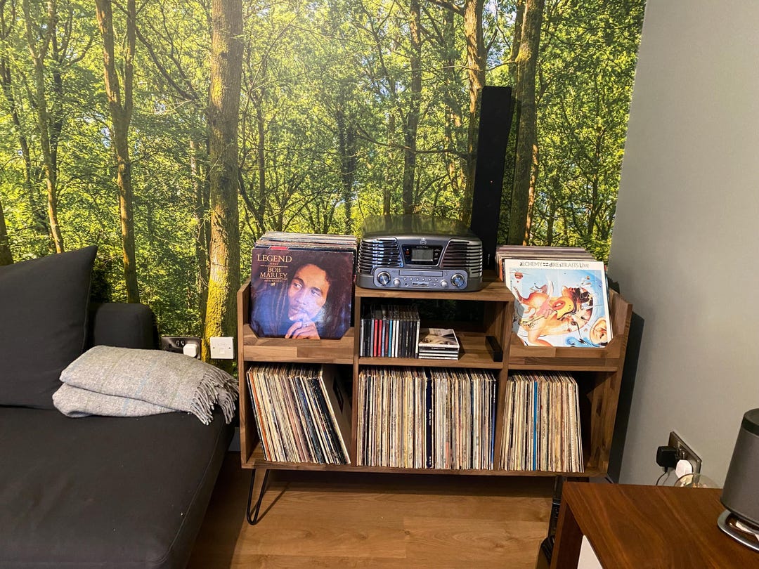 The Turntable Station: Vinyl Record Storage, Vinyl Record Storage - Etsy