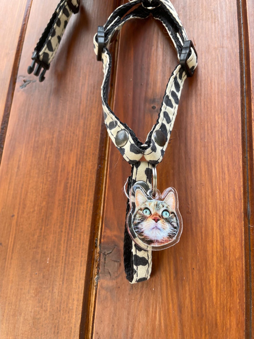 Personalized Acrylic Dog and Cat Medal, Unique Pet Medal, Dog Cat Photo ...