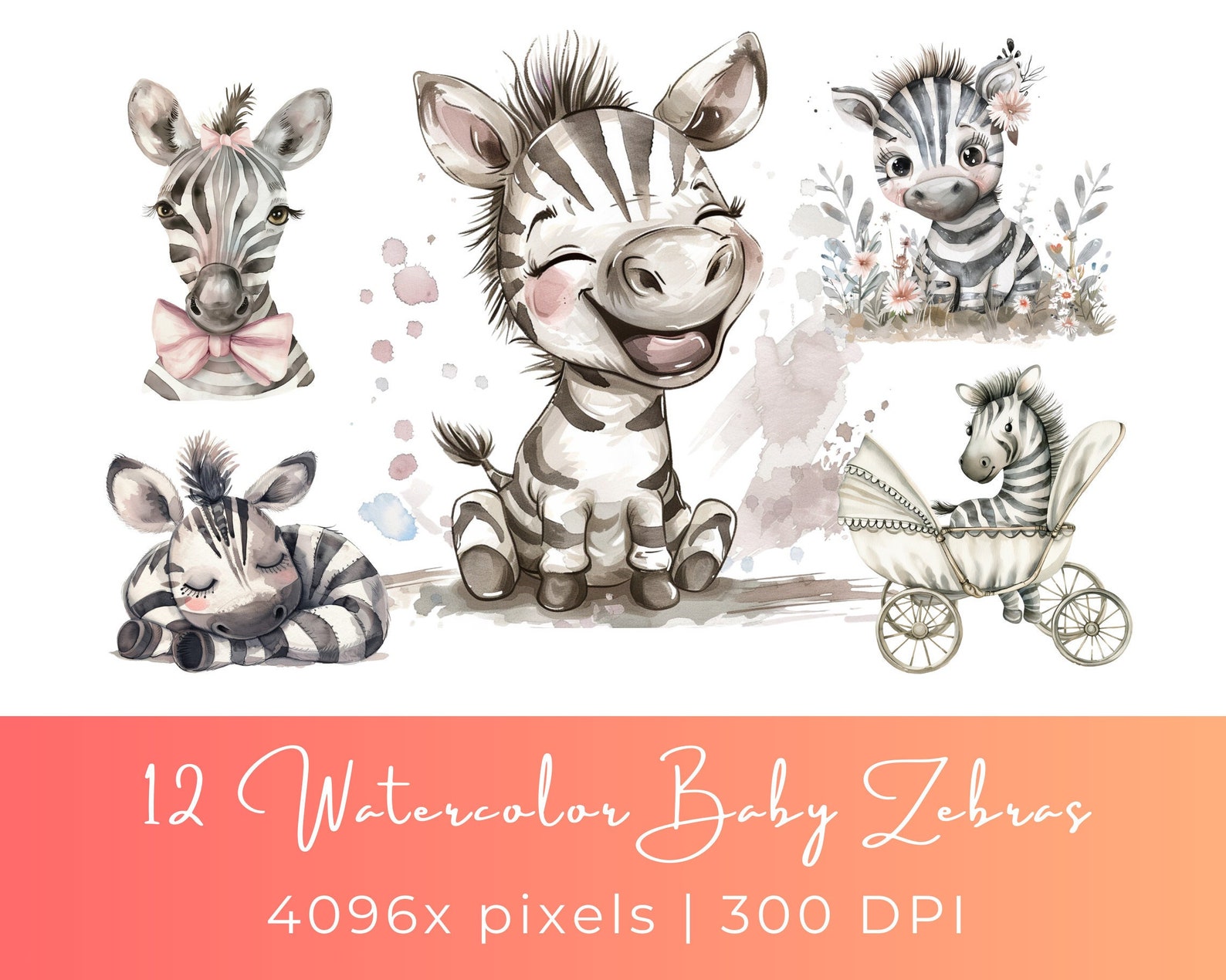 12 Watercolor Baby Zebra Clipart | Vintage Safari | Nursery Wall Art ...