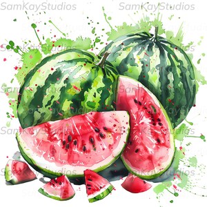 25 Watercolor Watermelon Clipart | Watermelon Graphics | Transparent ...