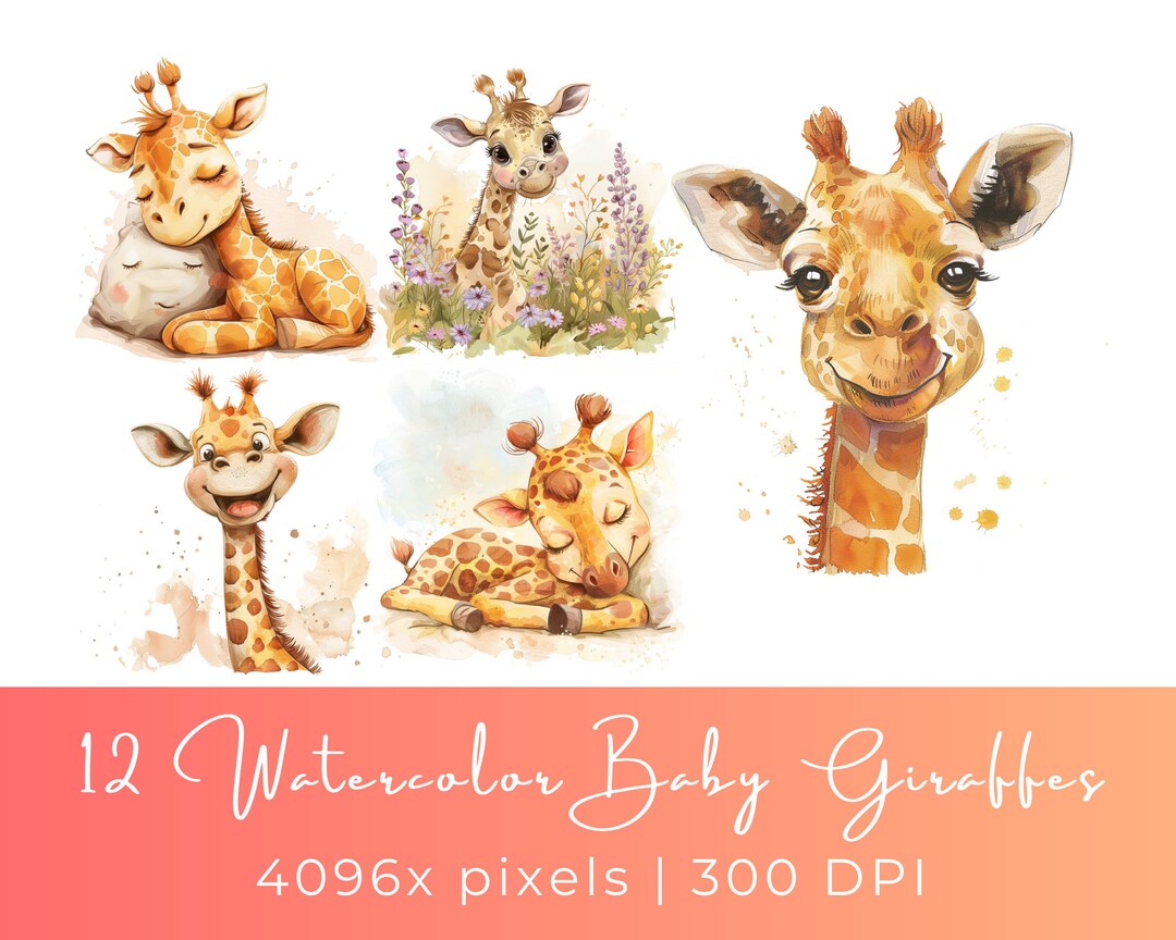 12 Watercolor Baby Giraffe Clipart - Etsy