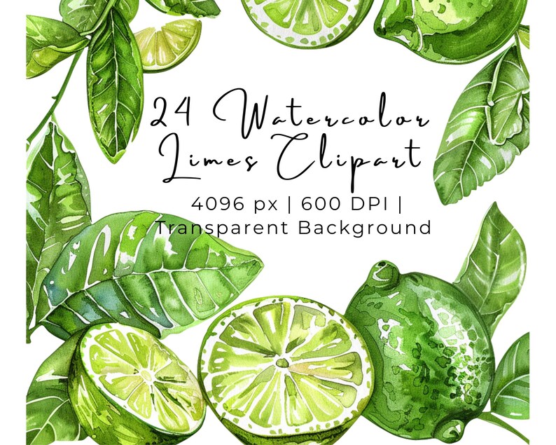 24 Watercolor Limes Clipart | Lime Graphics | Summer Fruit Clipart ...