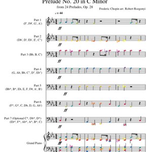 Chopin Prelude No. 20 in C Minor - Boomwhackers | Printable Sheet Music ...