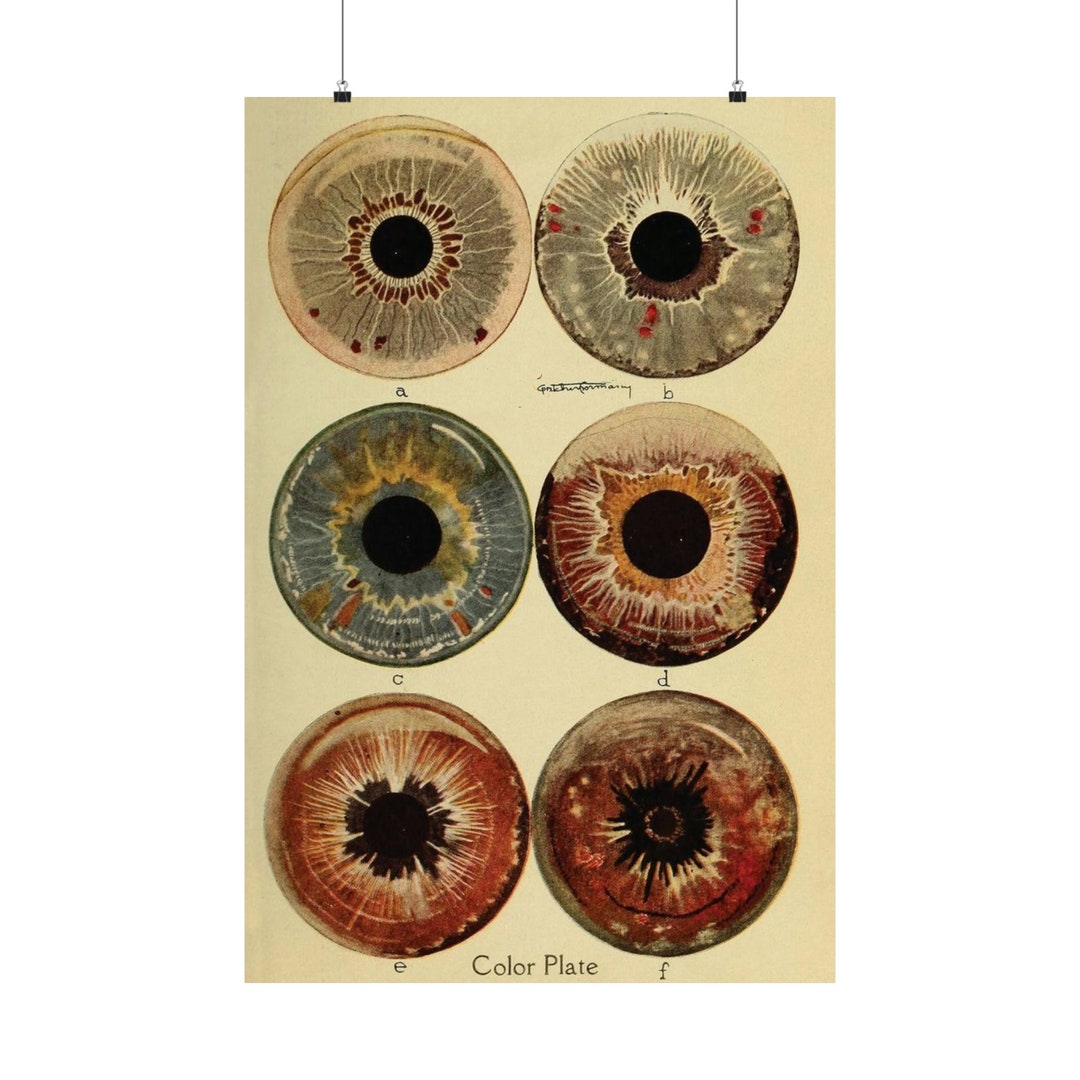 Matte Vertical Posters Eye Vintage Toned Colors - Etsy