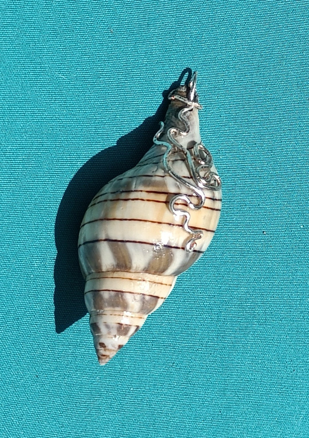 A Custom Wire Wrapped Tulip Shell Pendant. - Etsy