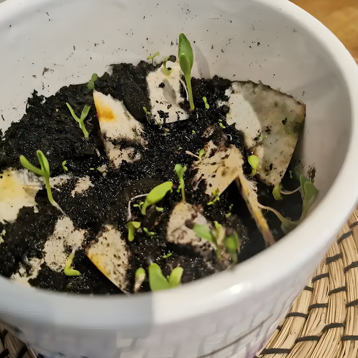 Personalized Eco-friendly Matchboxes Seed Paper,custom Seed Paper Favor ...