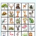 Safari Animal Bingo Printable Game: Classroom Party Fun (instant ...