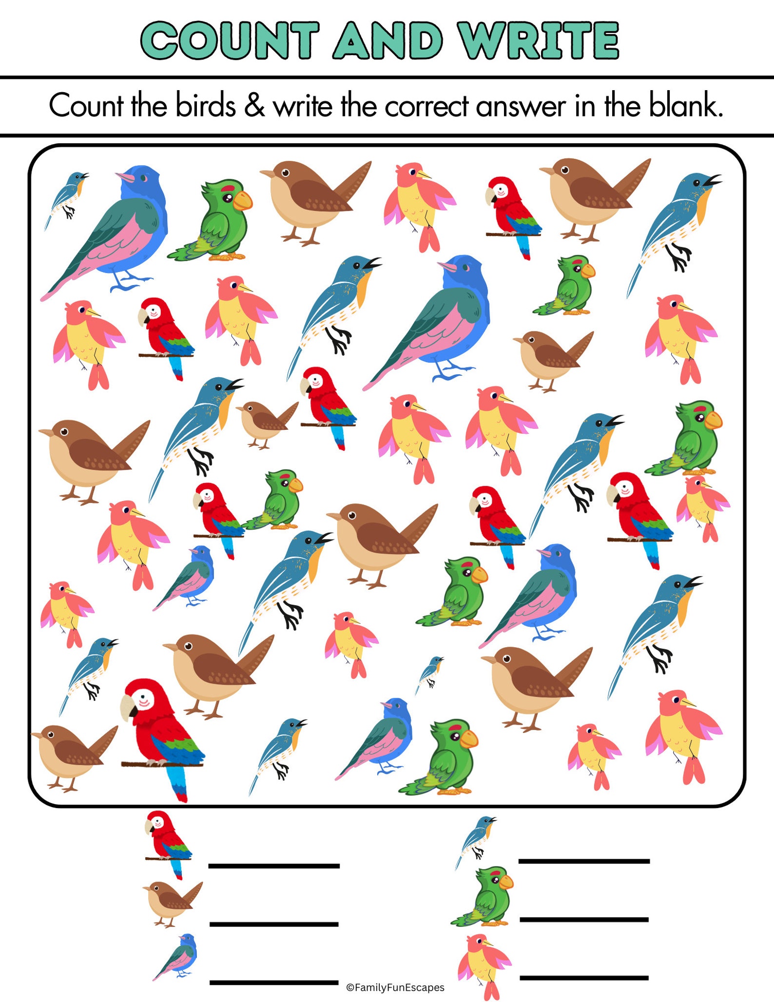 Bird Math Activity Pack: Printable Math Worksheets (digital Download ...