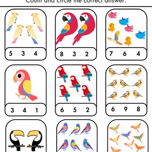 Bird Math Activity Pack: Printable Math Worksheets (digital Download ...