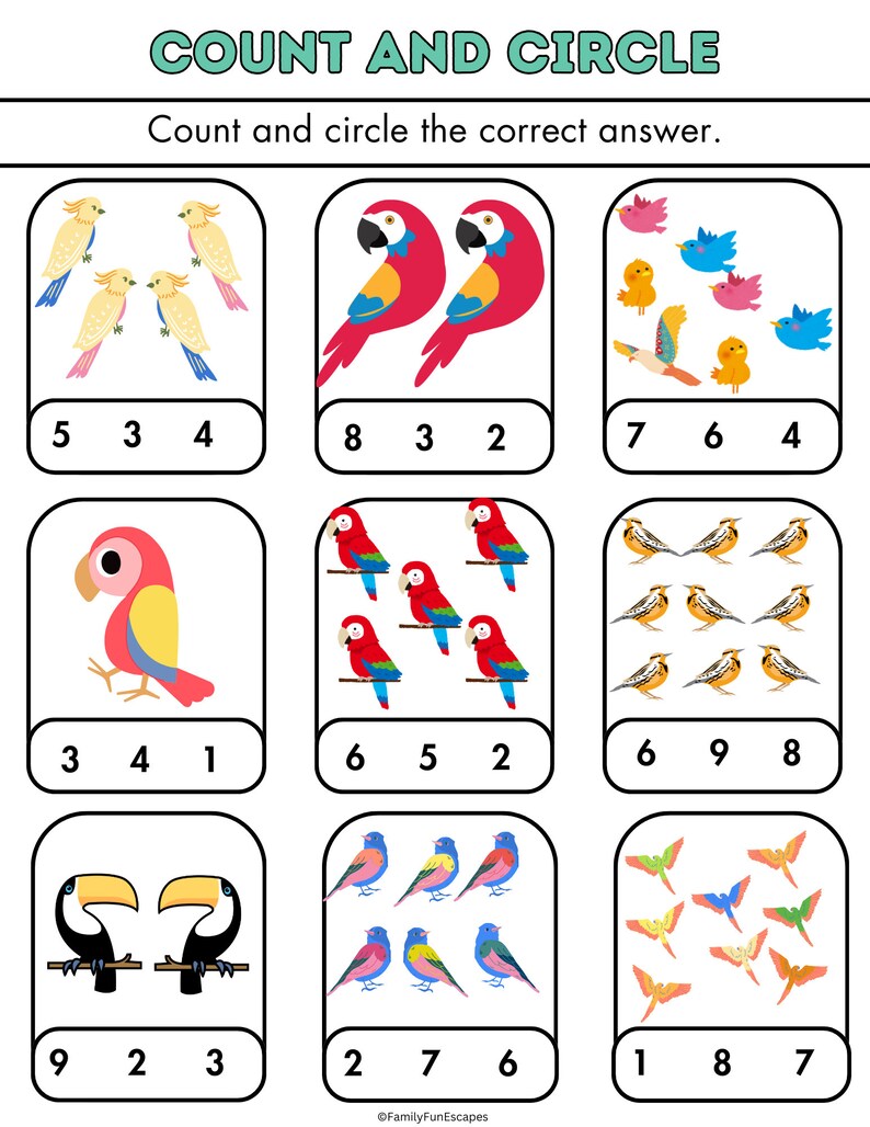 Bird Math Activity Pack: Printable Math Worksheets (digital Download ...