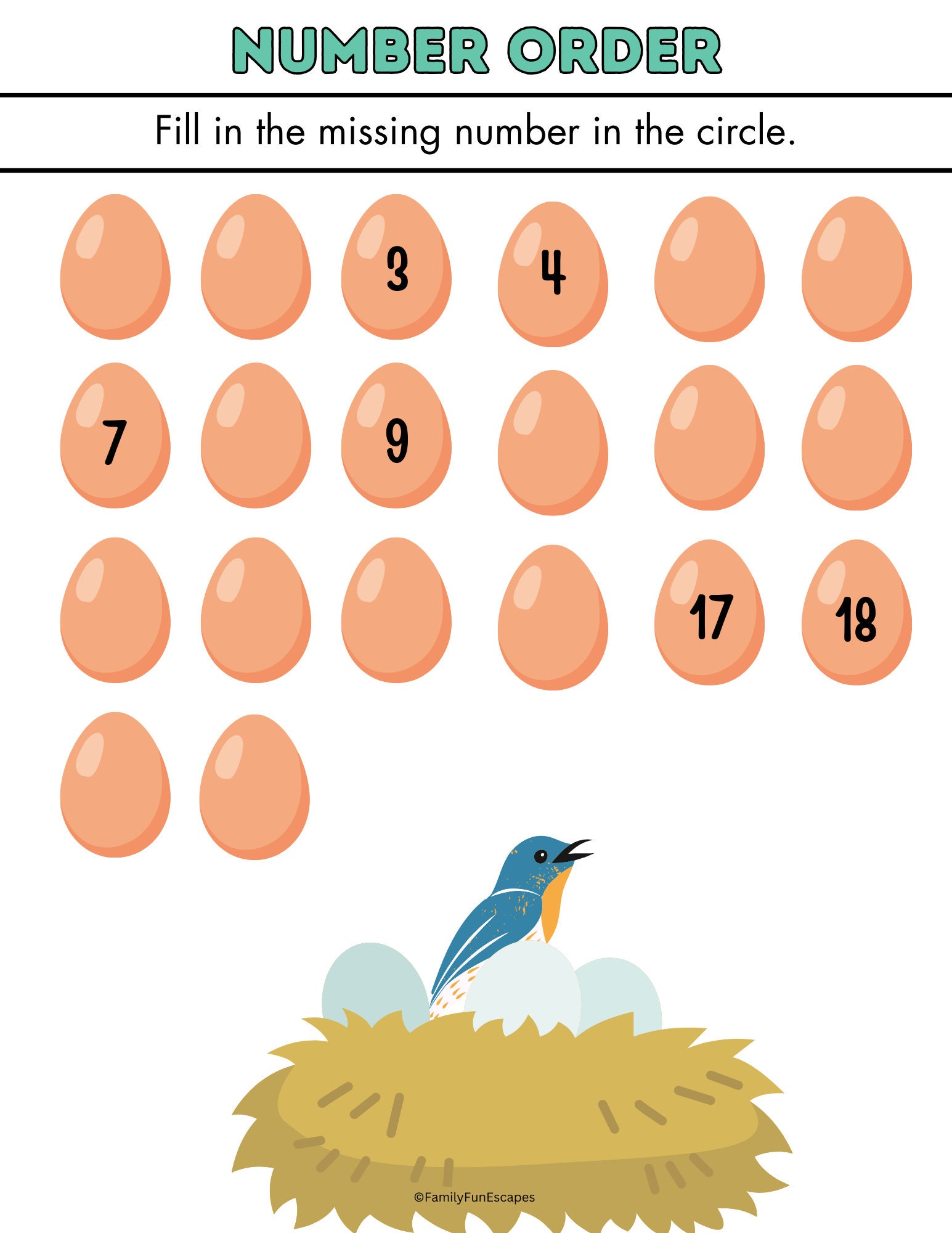 Bird Math Activity Pack: Printable Math Worksheets (digital Download ...
