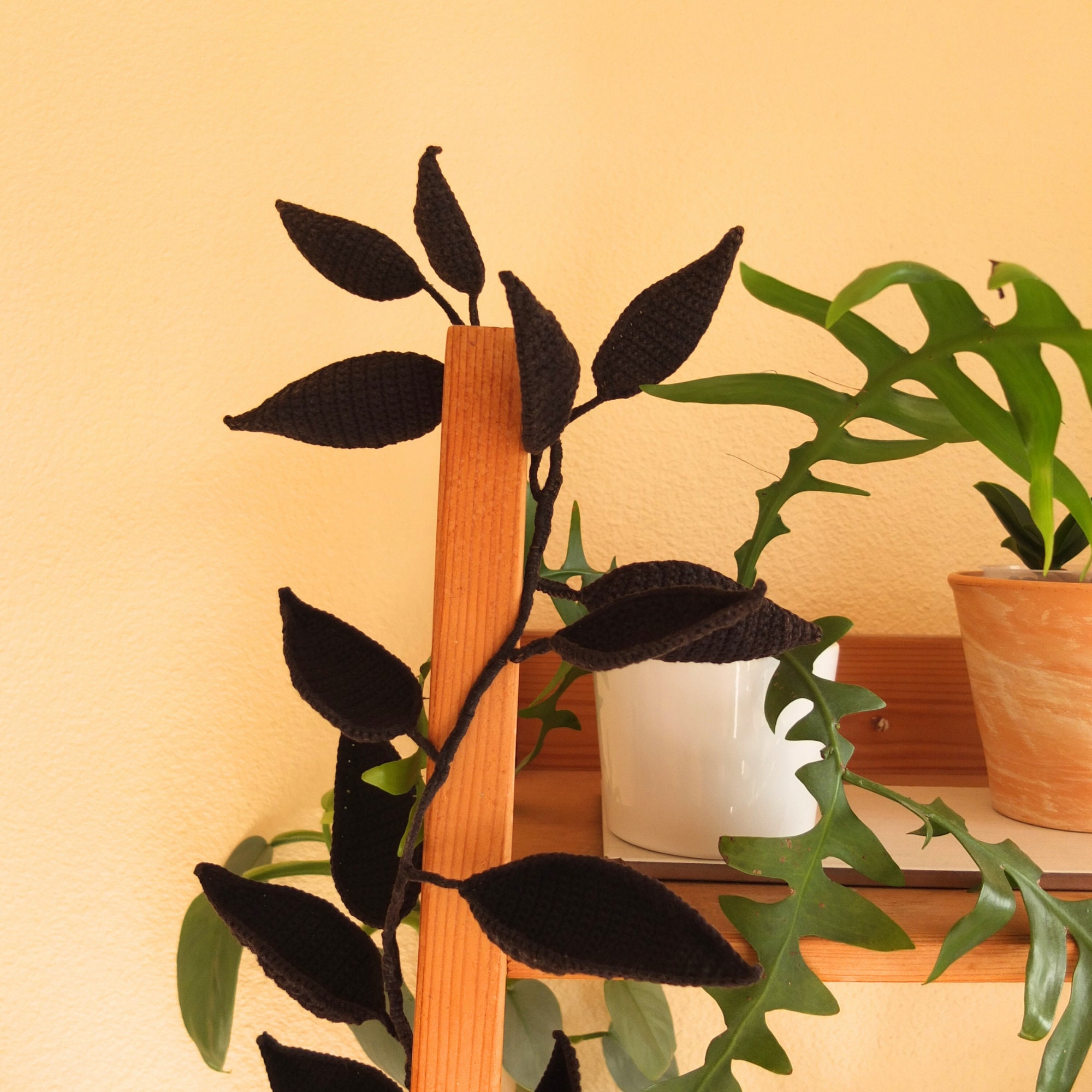 Scindapsus Treubii Dark, Black Pothos Vine Plant Crochet Pattern - Etsy