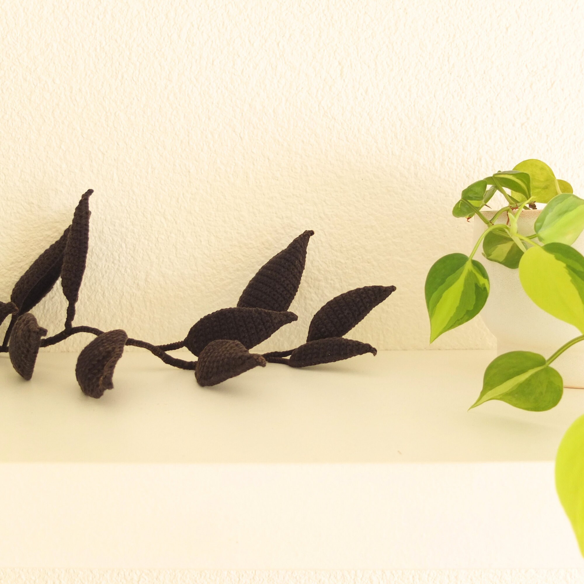 Scindapsus Treubii Dark, Black Pothos Vine Plant Crochet Pattern - Etsy