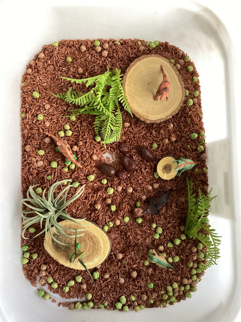 Dino World Sensory Bin Gift Boy and Girl Toddler Dinosaur Learning - Etsy