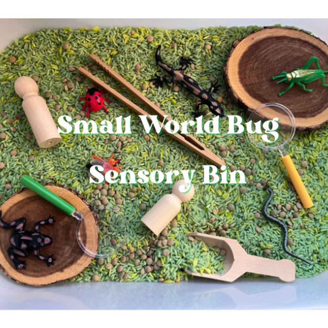 Bug Small World Sensory Bin Kit Girl Gift Boy Gift Summer Gift - Etsy