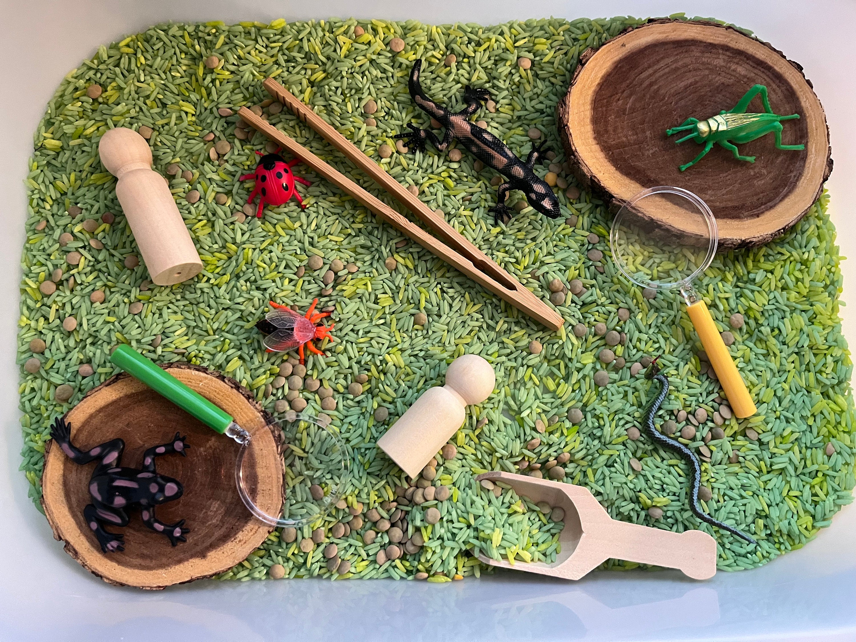 Bug Small World Sensory Bin Kit Girl Gift Boy Gift Summer Gift - Etsy