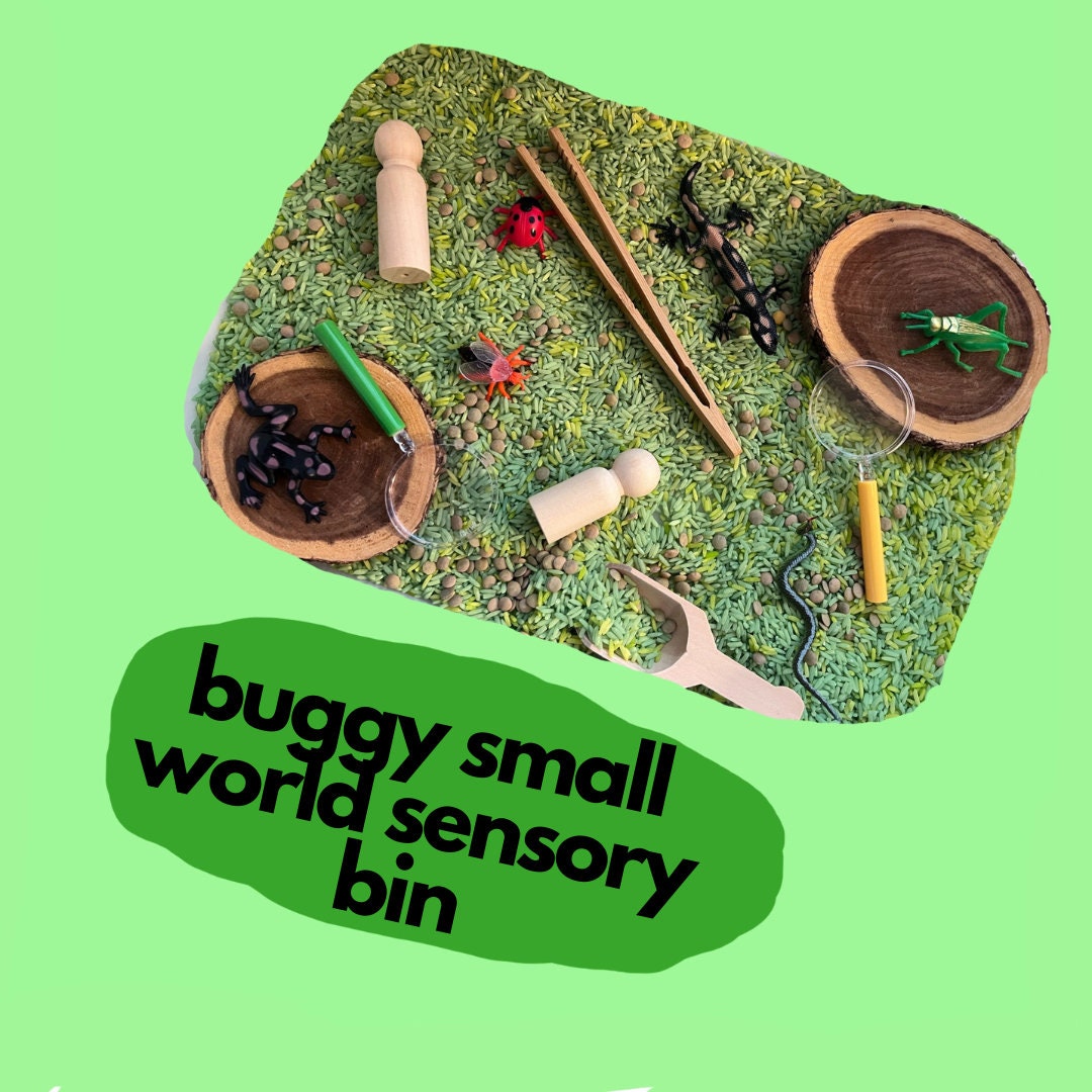 Bug Small World Sensory Bin Kit - Etsy