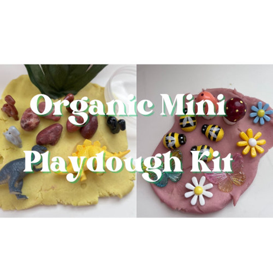 Spring Organic Playdough Gift Set Girl Gift Toddler Gift Summer ...
