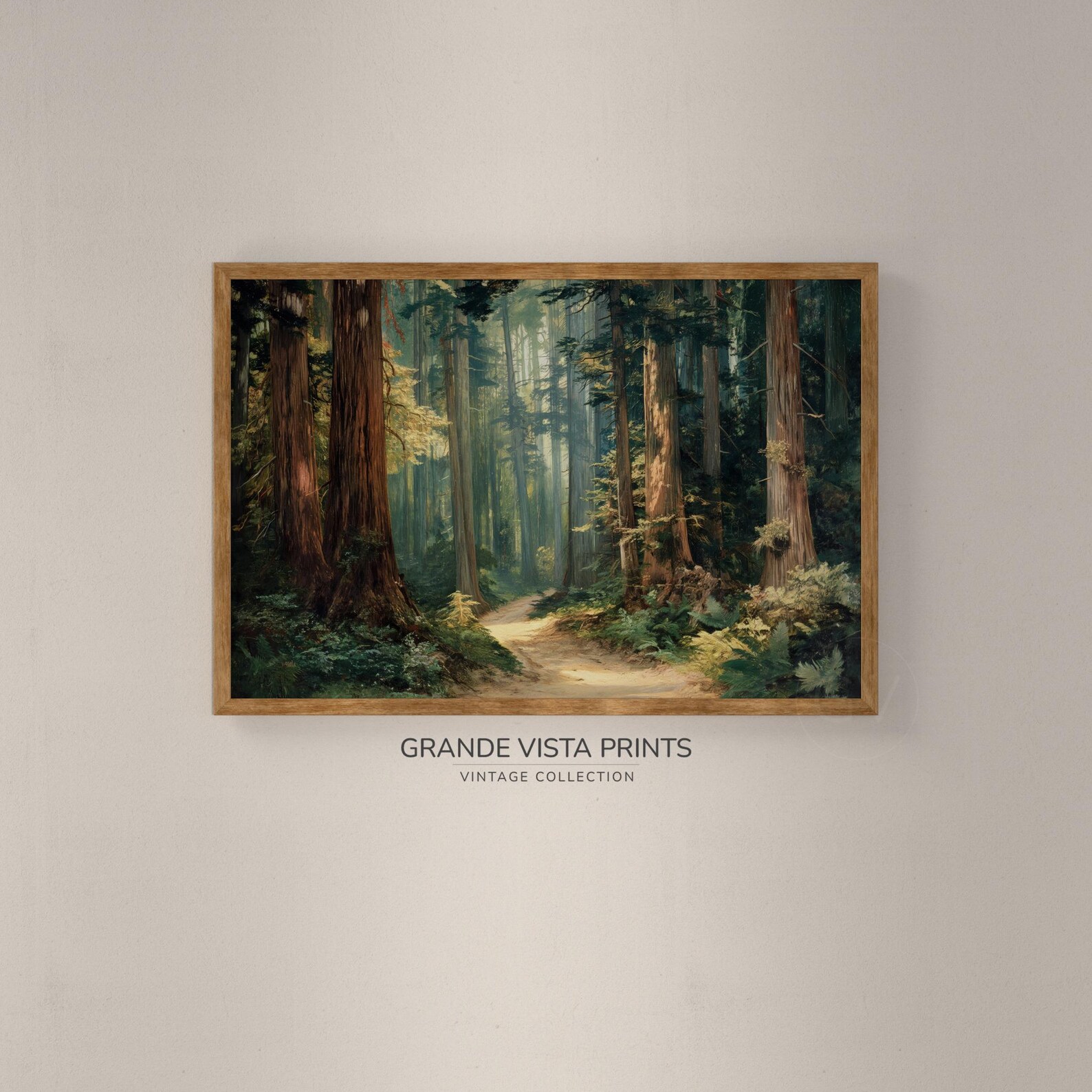 Printable Redwood Forest Artwork | Redwood Forest Path Artwork ...