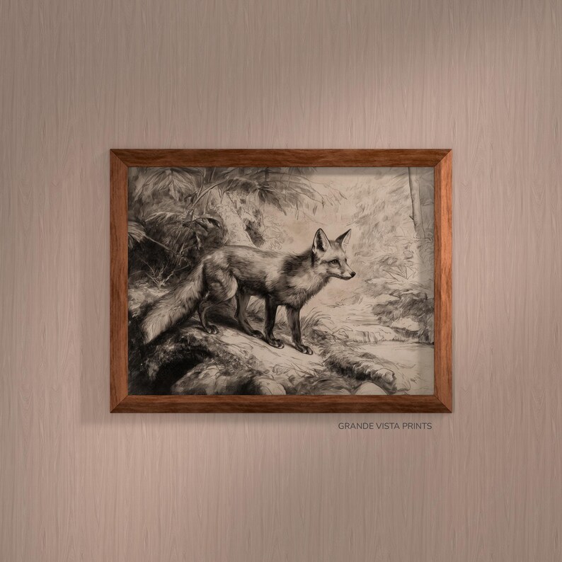 Vintage Forest Animal Drawings Set of 4 Gallery Wall Decor, Nature ...