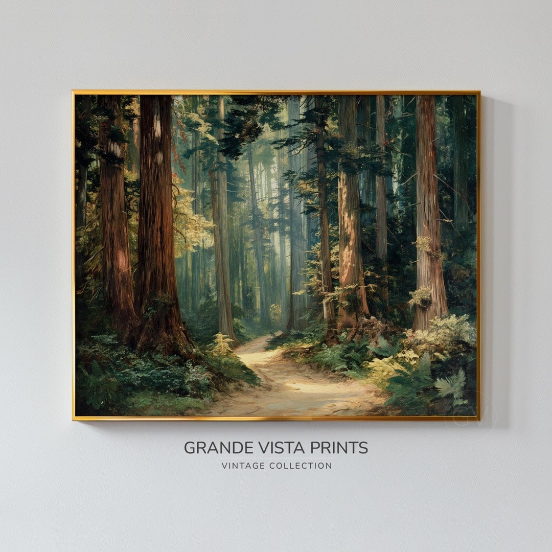 Printable Redwood Forest Artwork Redwood Forest Path Artwork Printable ...